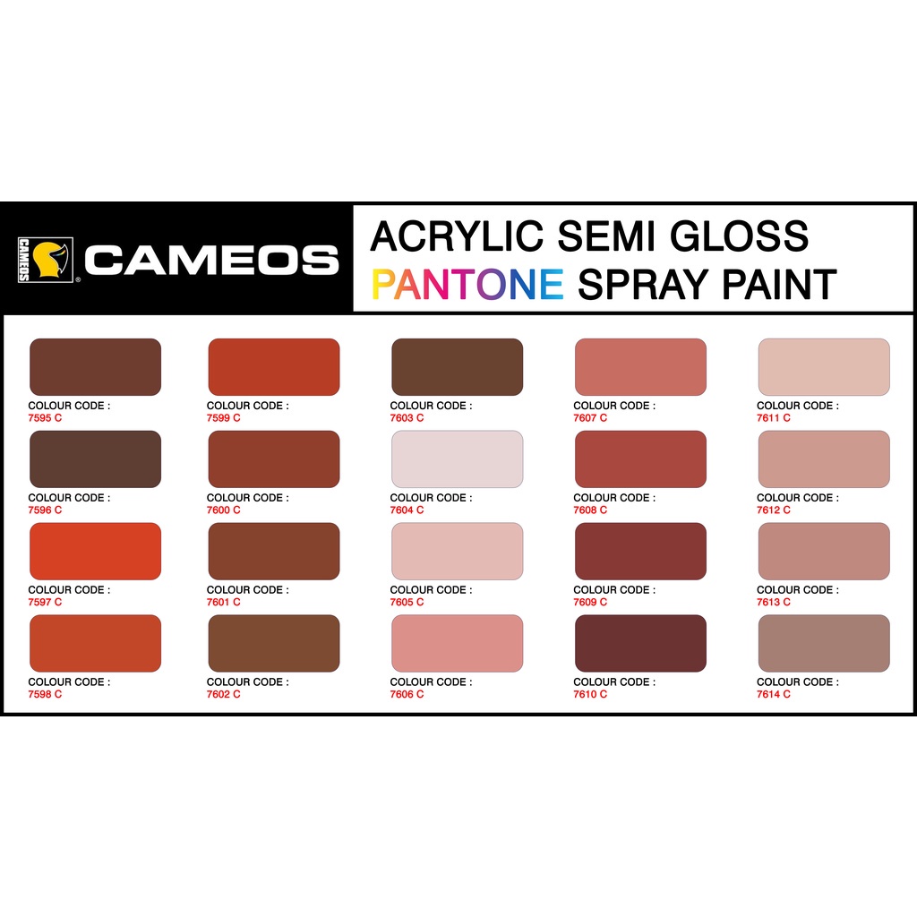 PANTONE Color P10 - Aerosol Spray Paint - CAMEOS 400ML/Bottle | Shopee ...