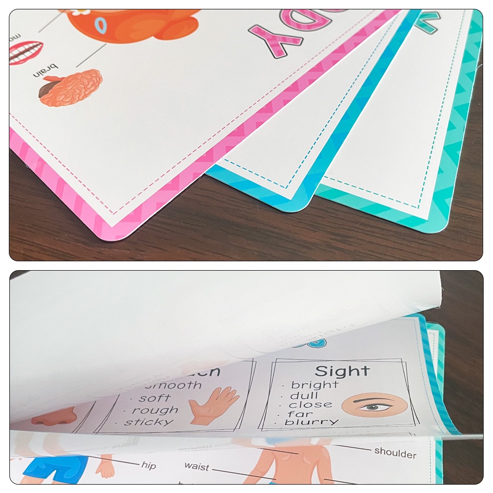 3 PCS My Body Poster Learning English Words Educational Posters ...