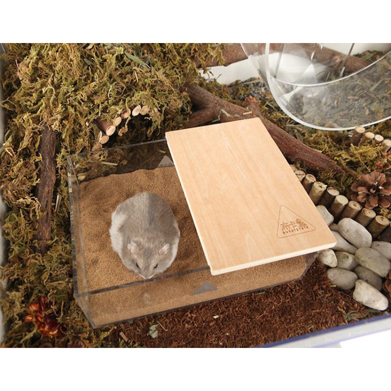 🇲🇾2.5kg large pack Bucatstate natural desert sand pet hamster bathing ...