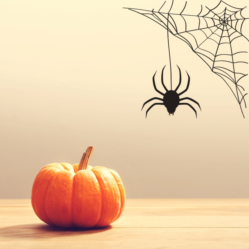 BCF 2 Sheet Halloween Spiders Webs Window Clings For Halloween Party ...