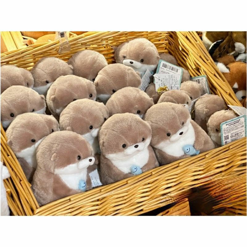 Korean Dino Amuse Cute Little Otter plush toy Holding Fish Plush Doll ...