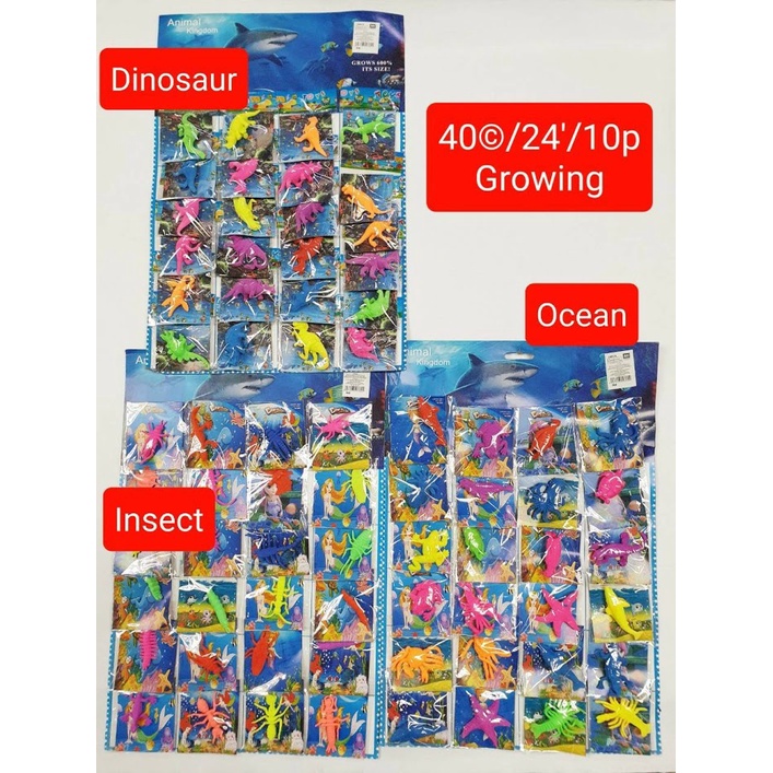 24pcs KHY Growing Toy Expand 600% Size kids fun toys big expandable ...
