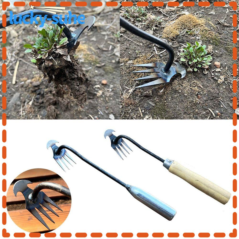 LUCKY-SUHE Weeding Tool For Garden Yard Farm Uprooting 4 Teeth Weeders ...