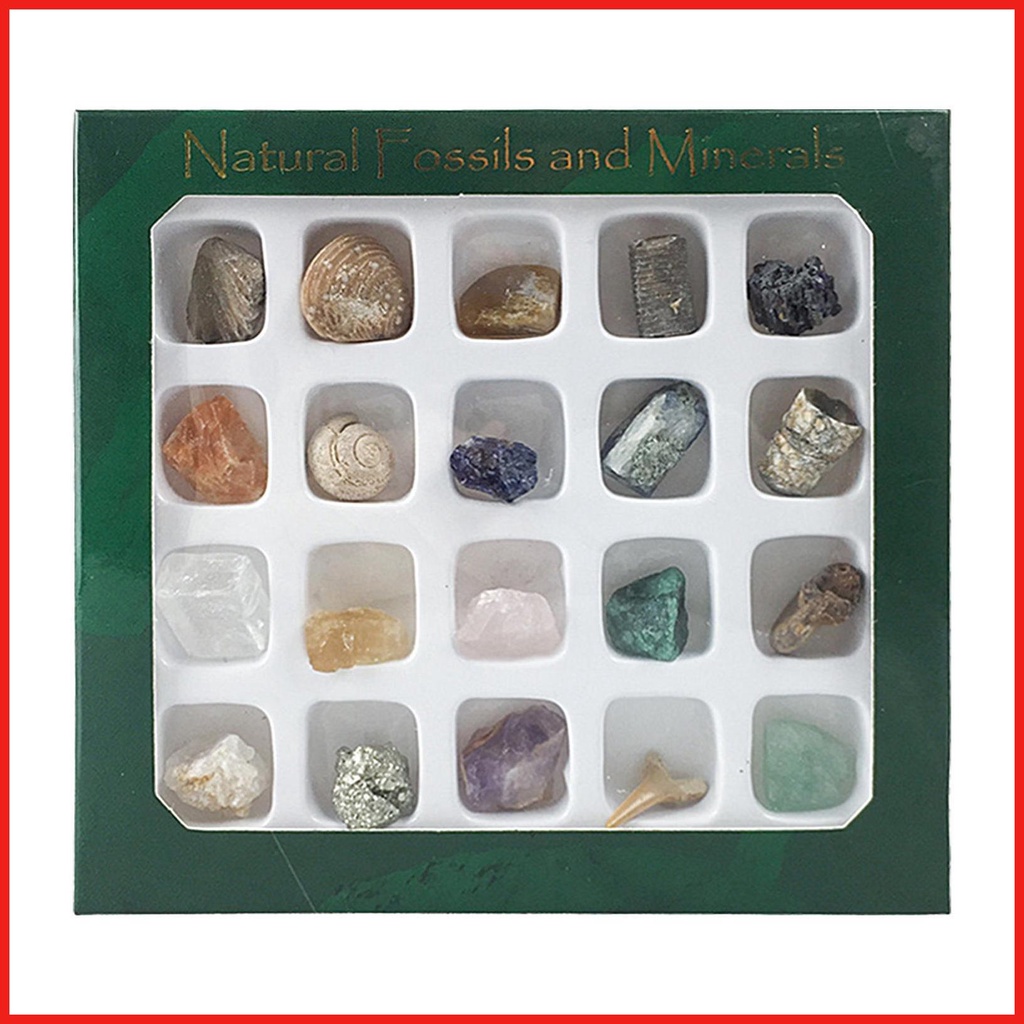 Mineral Identification Kit Rocks And Minerals 20 Pcs Educational ...