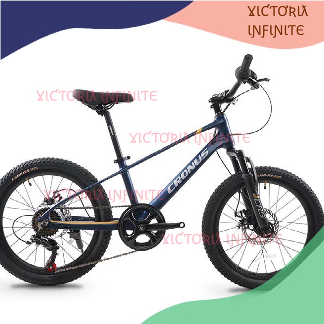 20" Cronus Luxury Quality Magnesium Alloy MTB Mountain Bike Basikal ...