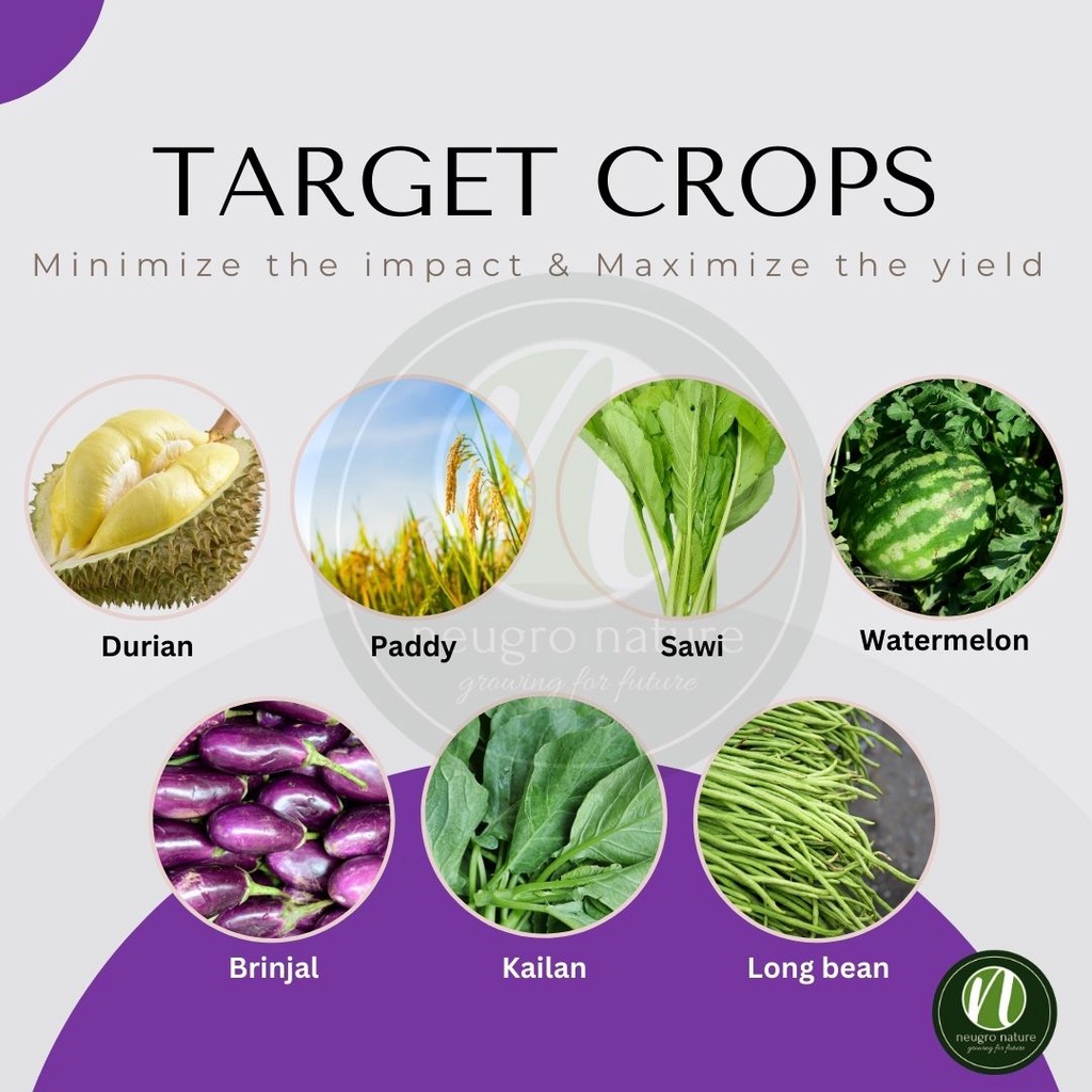 PICTOR 019 (1L) Emamectin Benzoate 2.2% Insecticide - Racun Ulat ...