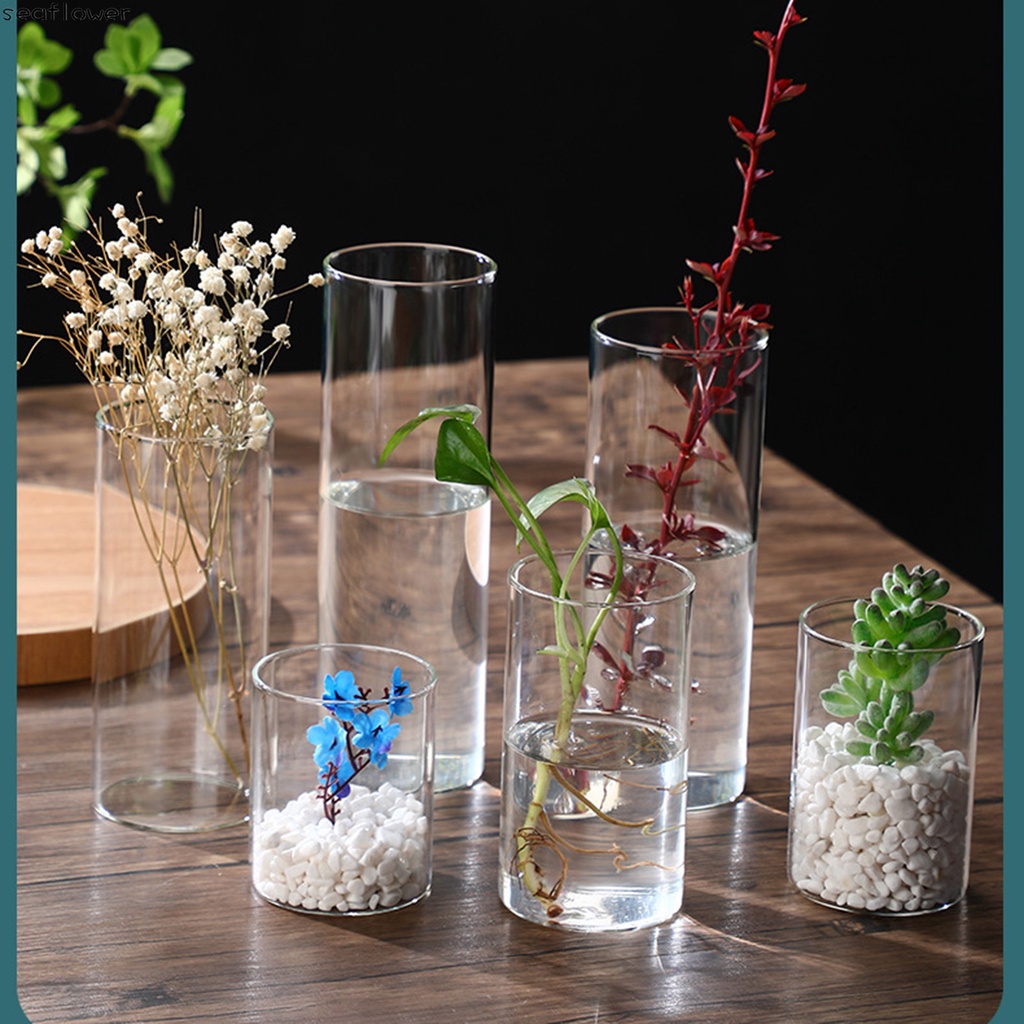 Clear Glass Flower Vase Modern Small Cylinder Flower Centerpiece Vases ...