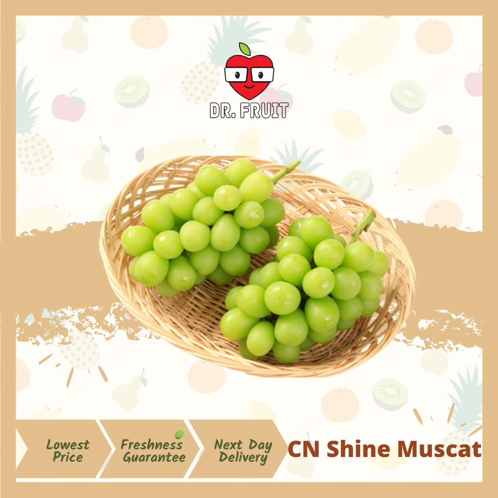 China Shine Muscat Green Grapes (500g/box) | Dr.fruit 中国晴王葡萄 | Shopee ...