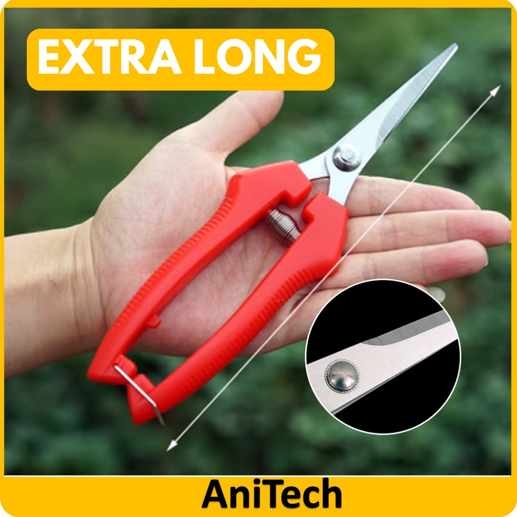 19CM Gardening Scissors Special Serrated Shears Grape Pruning Shear ...