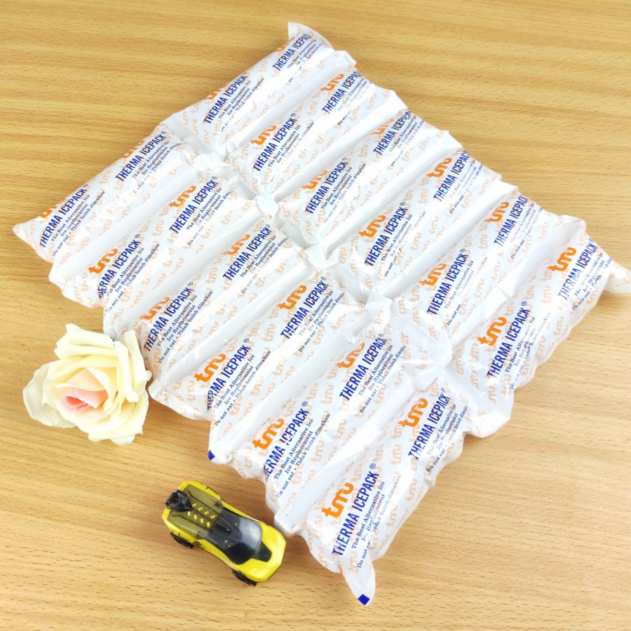 Thermafreeze Therma Ice Pack contains 12 Ice Gel Dry Ice Original Ice ...
