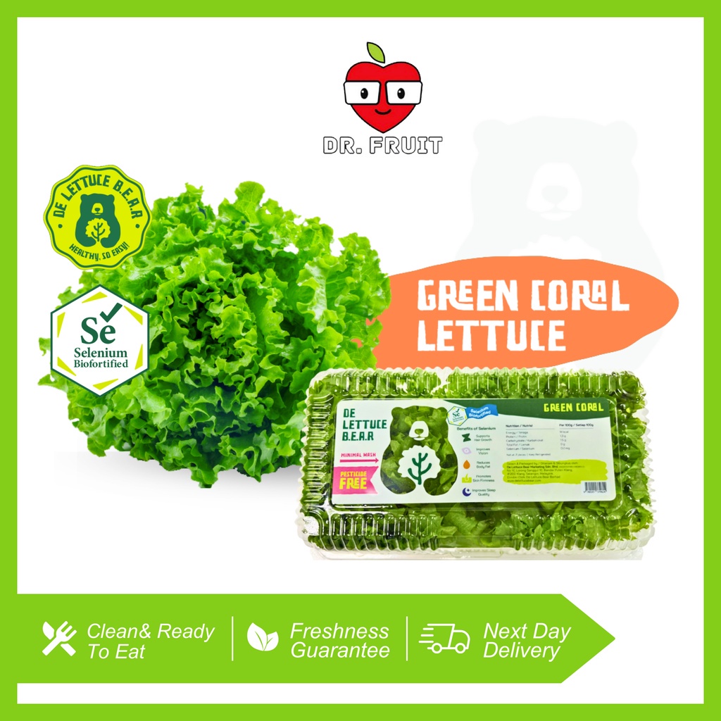 【DLB 】Green Coral - 2pcs 青生菜/Salad Kampung/Salad菜/无铅生菜 | Dr.fruit x De ...