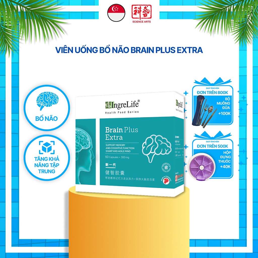 Brain Plus Extra IngreLife Brain Supplement Supports Blood Circulation ...