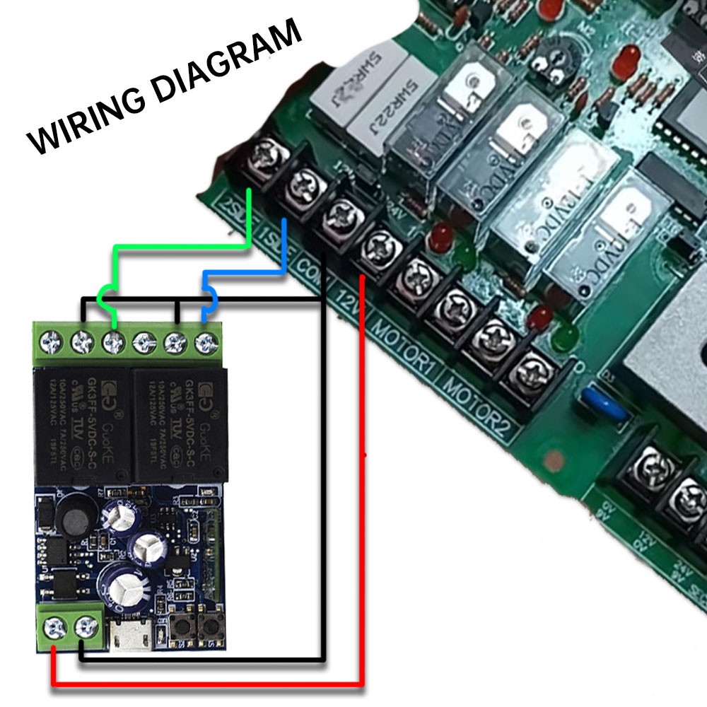 WENQIA Ewelink WiFi Autogate 2 Channel Smart Controller 2.4GHZ 86 size ...