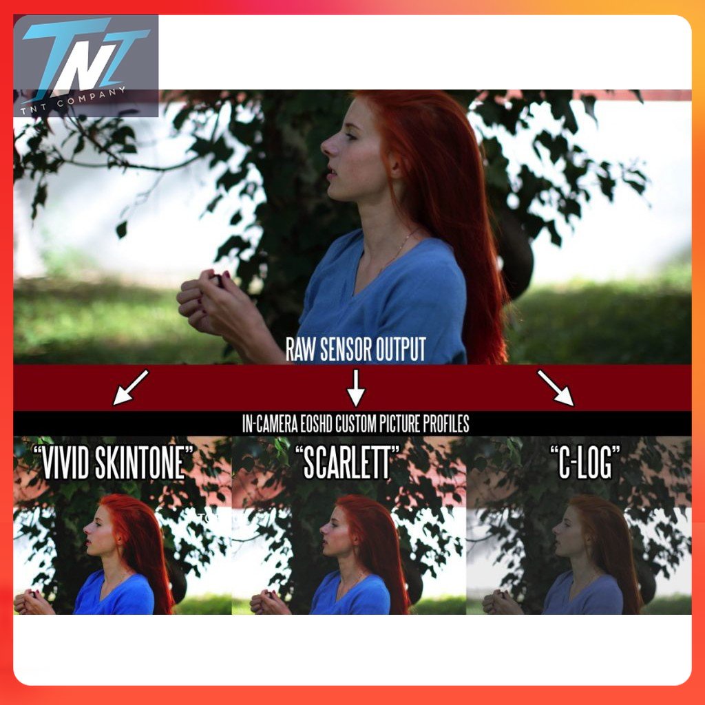 EOSHD C-LOG-and-Film-Profiles for CANON + LUT [download] | Shopee Malaysia