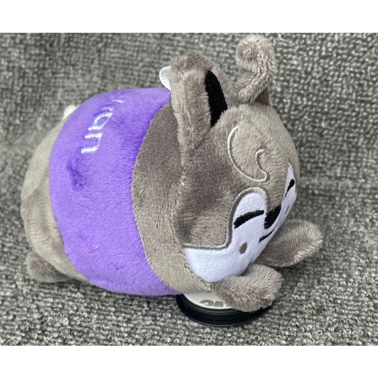 Kpop Straykids STAY THE VICTORY Keychain Small Doll Skz Felix Bag Charm ...