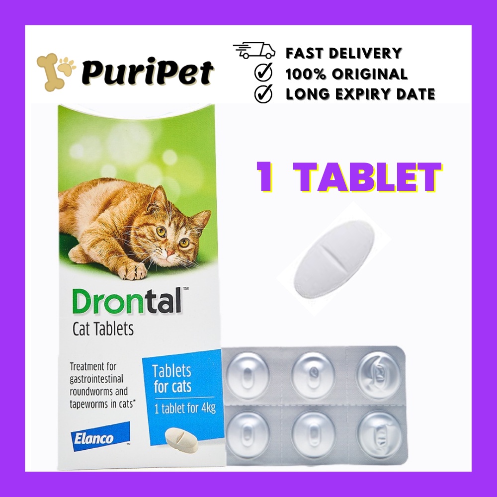Drontal Cat Tablets Dewormer (1xTablet) - Cat Care | Shopee Malaysia