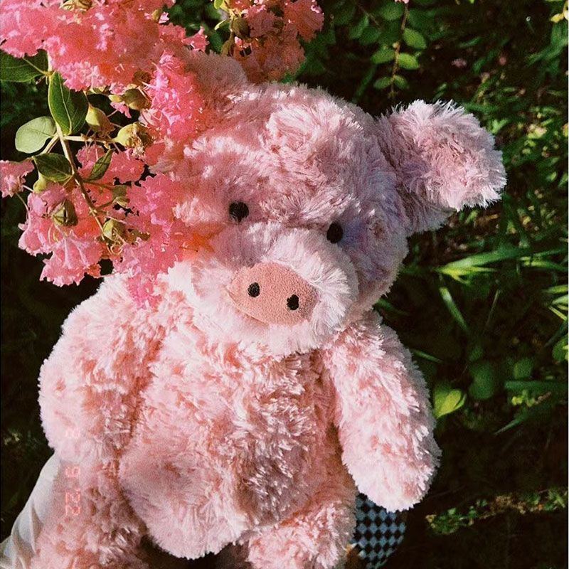 [Ready Stock] Barnabus Piggy Doll Genuine High Quality British JELLYCAT ...