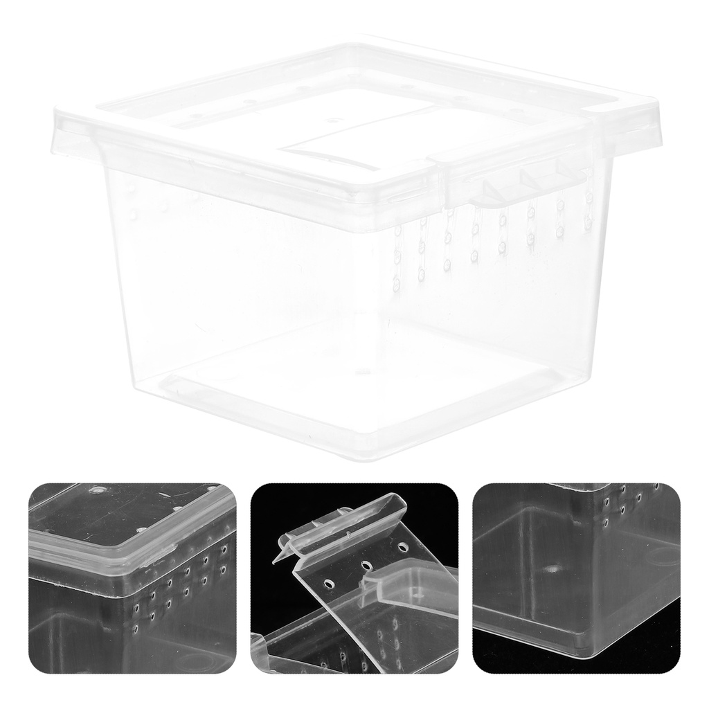 Leopard Gecko Portable Fence Outdoor Insect Rearing Box Catcher The ...