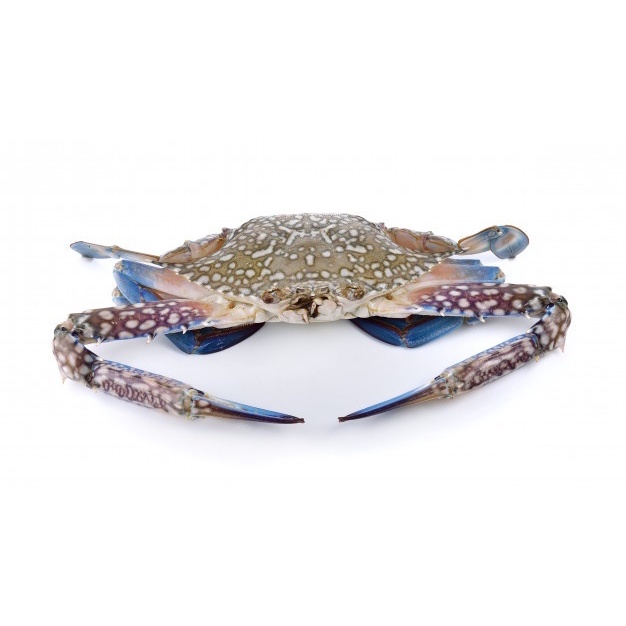 [Frozen] Ketam Bunga L (800G) | Shopee Malaysia