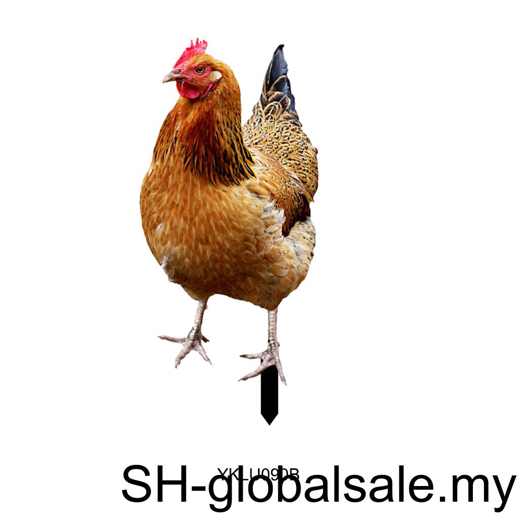 Chicken Garden Decorations For Outdoors Robust And Fade-resistant Decor ...
