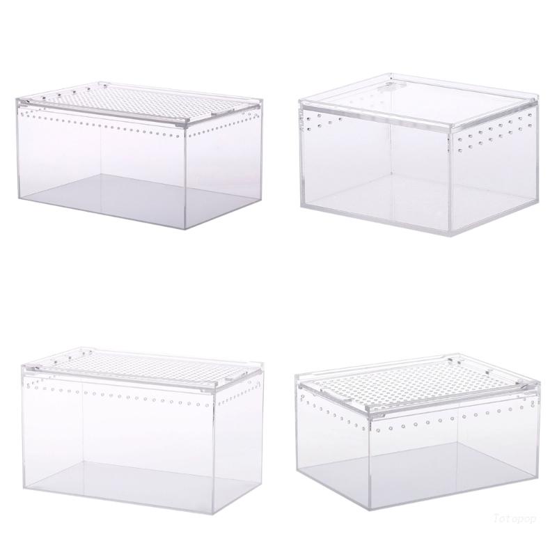 Top Acrylic Reptile Cage Breeding Box Terrarium Clear Feeding Habitat ...