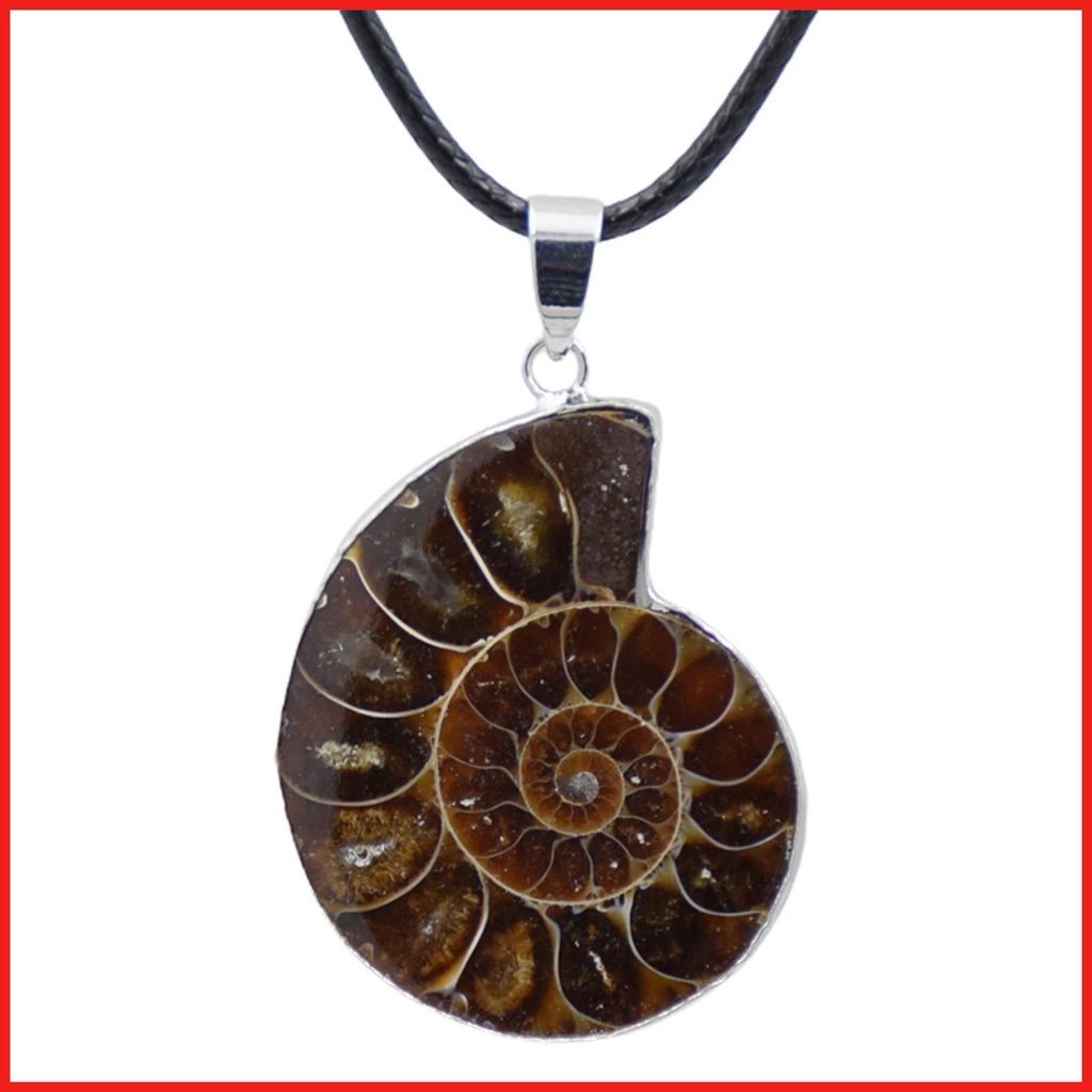 Conch Shell Necklace Natural Stone Ammonite Fossils Snail Pendant ...
