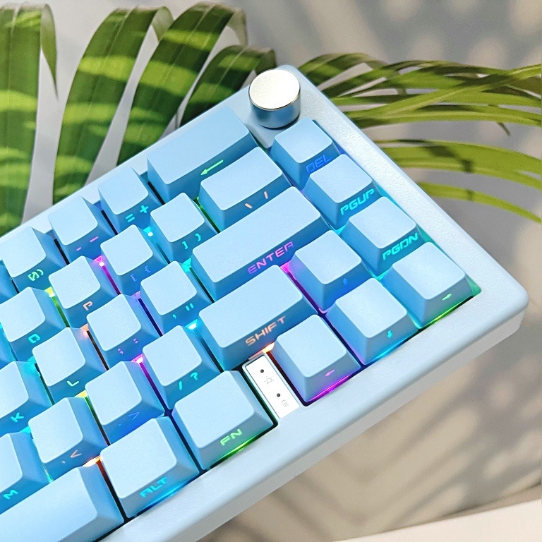 (Lychee Gaming) 2023 New side engraved translucent keycaps OEM height ...