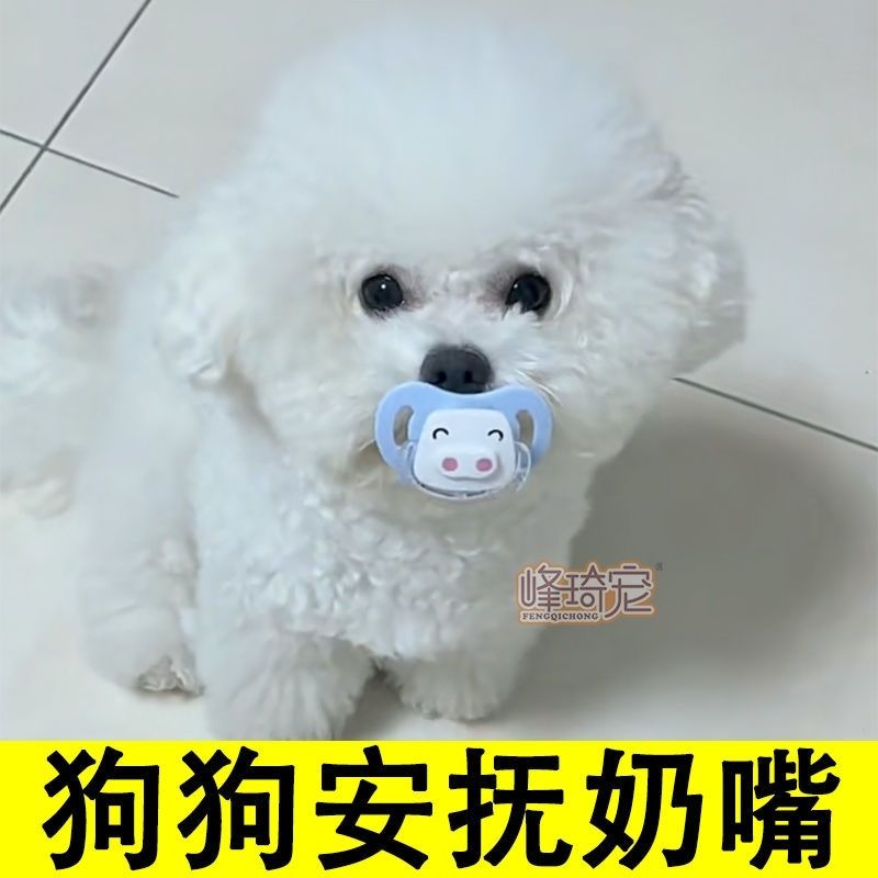 Puppy puppy dog pacifier special pacifier toy dog pet p幼犬小狗狗安抚奶嘴专用奶嘴玩具 ...