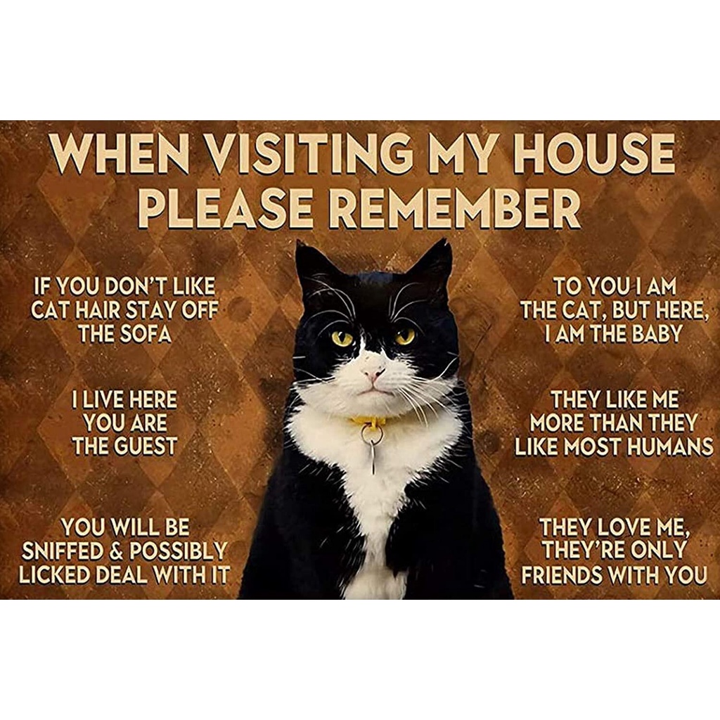 Cat Decorations for Party Black Cat Visiting Cat House Rules Retro ...