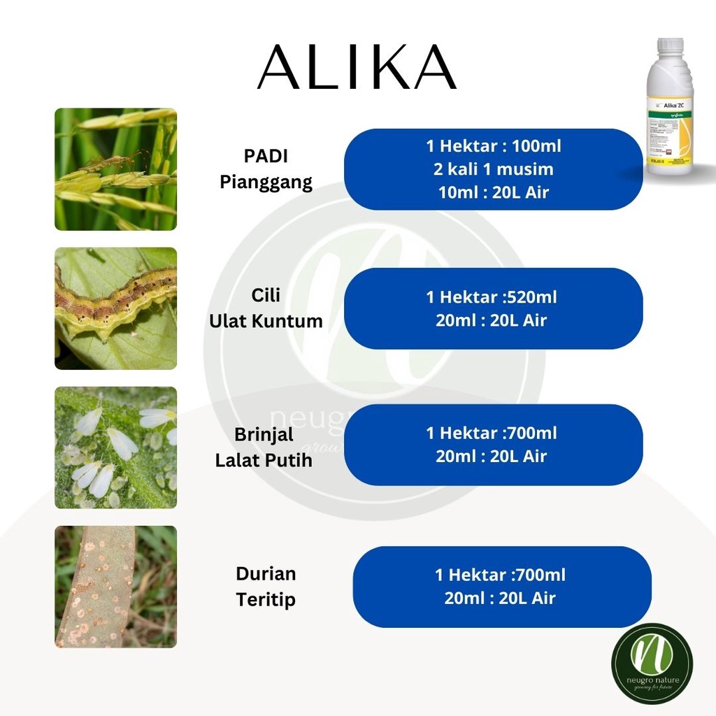 Syngenta ALIKA ZC Insecticide - Racun Serangga Mengawal Teritip/ Lalat ...