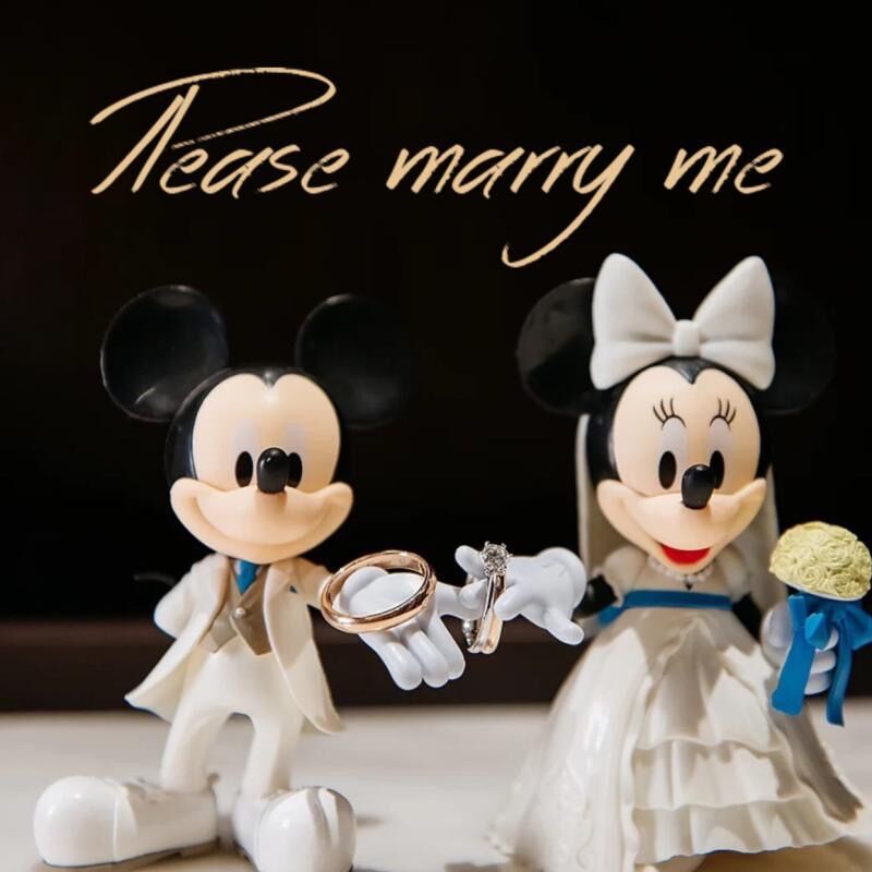 Marry Me 2Pcs/Set 13cm Disney Figurines Wedding Couple Minnie Mickey ...