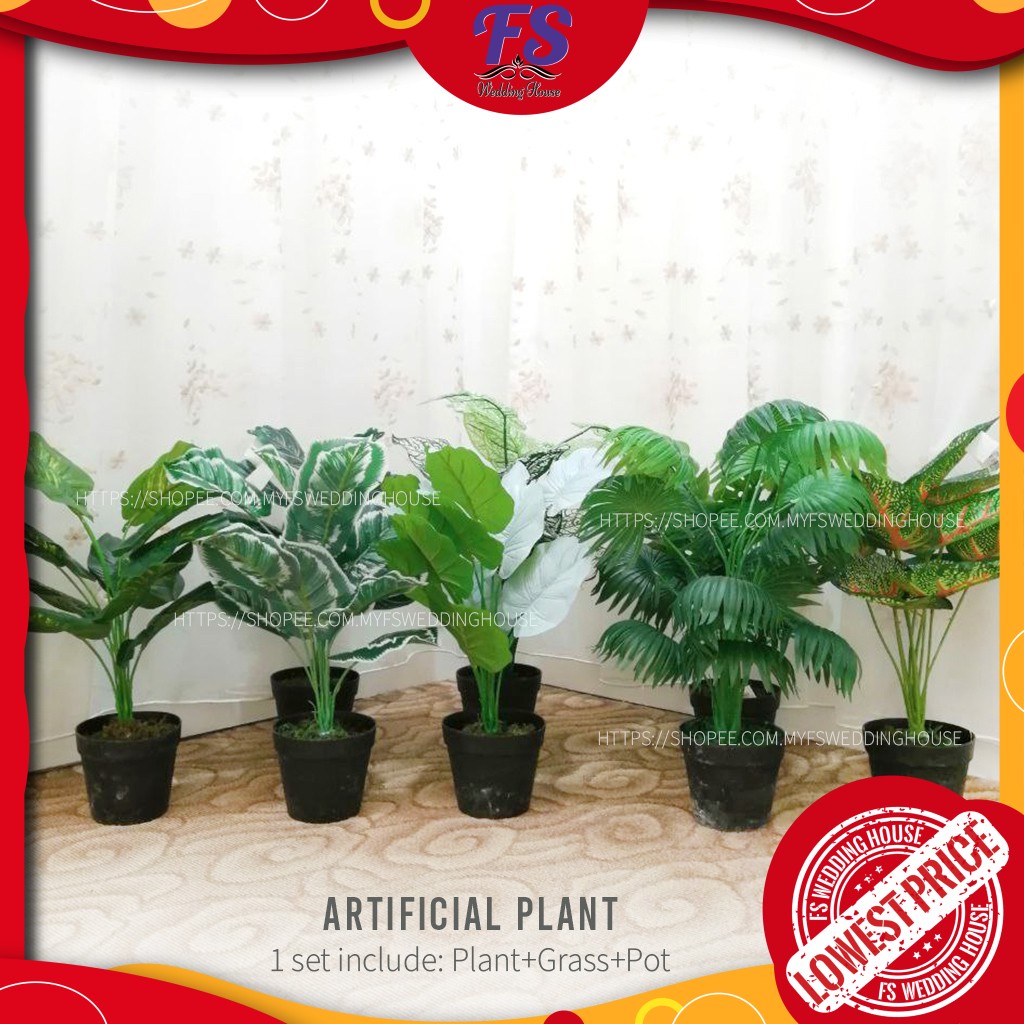 RAYA SALES / ARTIFICIAL PLANT / PELBAGAI JENIS POKOK VIRAL / HOT POKOK ...