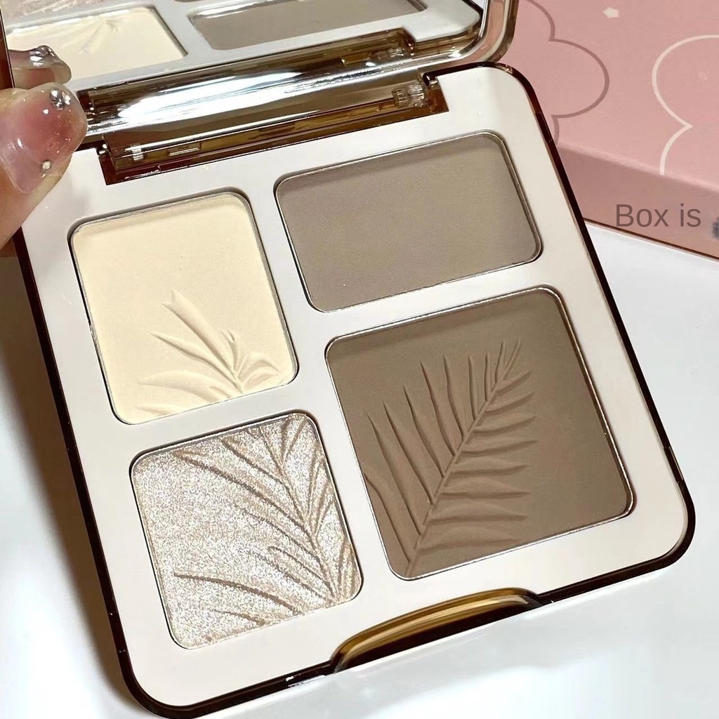 MUGE LEEN Four-color Highlight Contouring Comprehensive Disk Matte ...