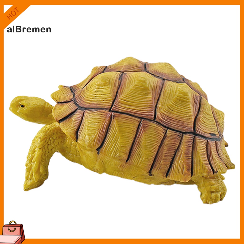 (New) Anti-deformed Turtle Decoration for Child Four-toed Tortoise ...
