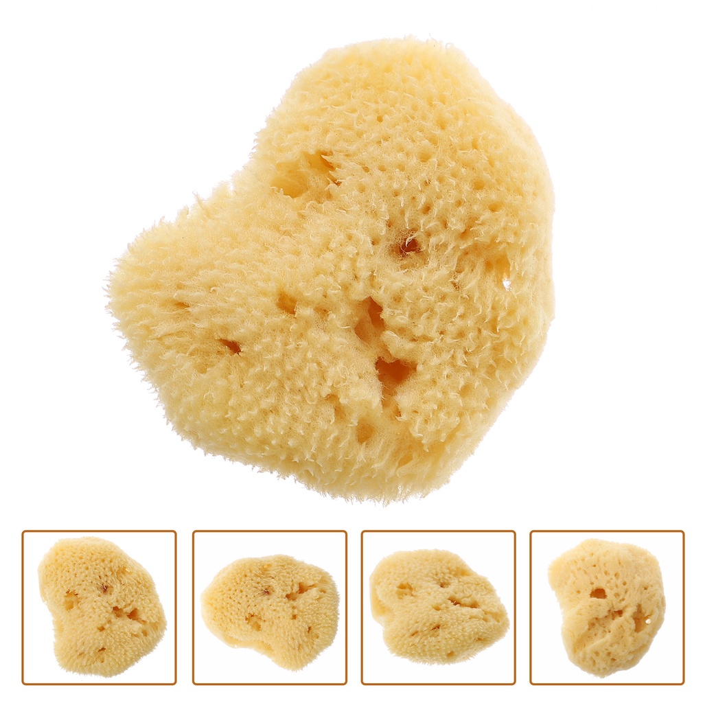 [READY STOCK] Painting Texture Sponge Artist Watercolor Sponges for ...