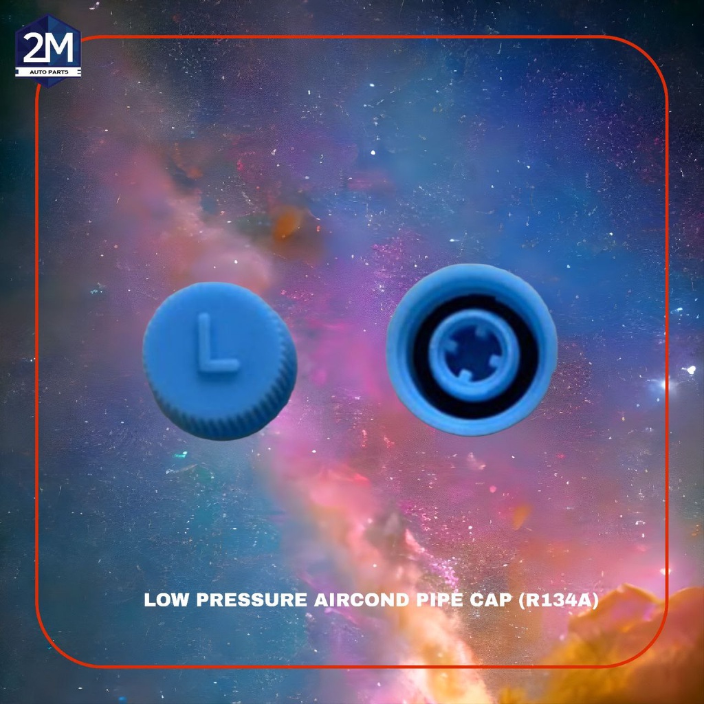 CAR AIRCOND CAP A/C INLET OUTLET HIGH LOW VALVE CAPS PLASTIC COVER ...