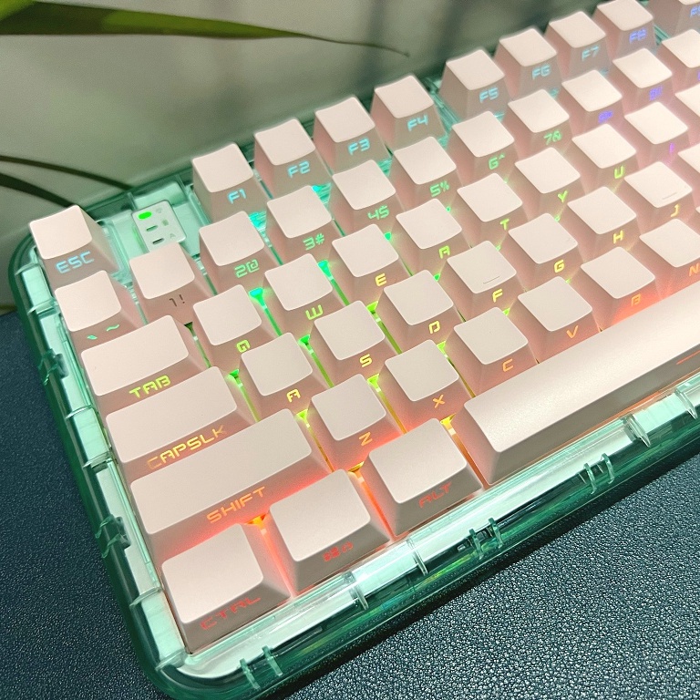 (Lychee Gaming) 2023 New side engraved translucent keycaps OEM height ...