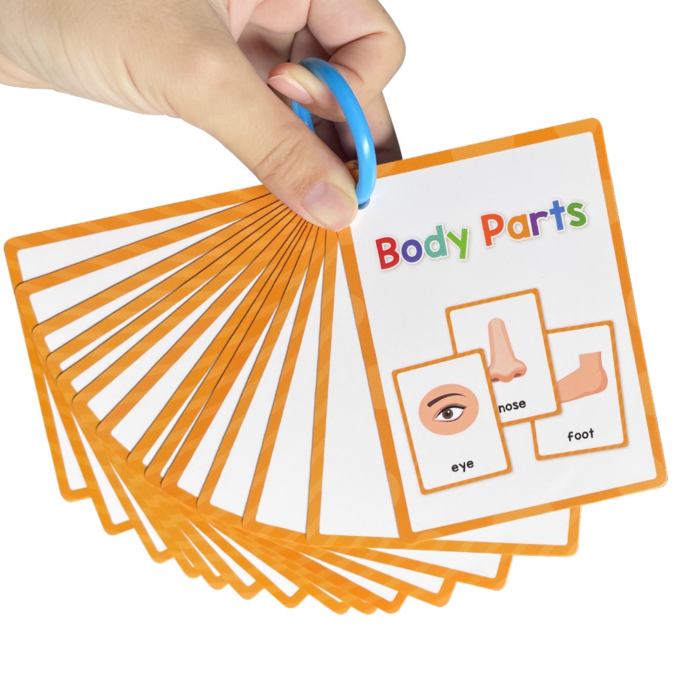 15 Cards Kids Educational Flash Cards Body Parts Vocabulary Words Cards ...