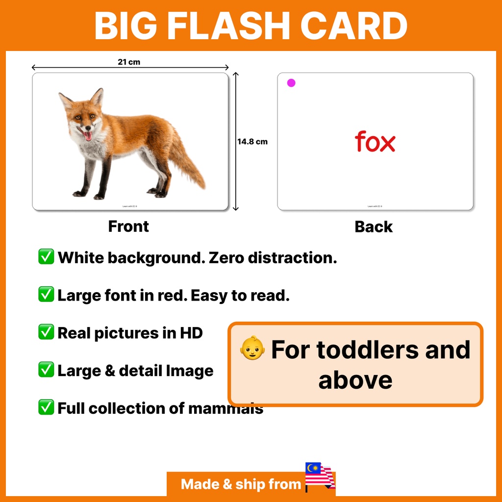 Animals Flash Card for Kids, Ocean Animals Baby Animals Big Flash Card ...