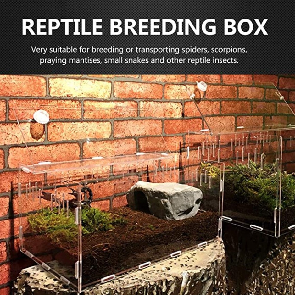 PETIME Reptile Acrylic Feeding Box Breeding Habitat Snake Spider Lizard ...