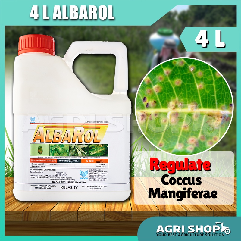 Agrishop 4 Liter ANCOM Albarol White Oil 72% MealyBug Scale Insect ...