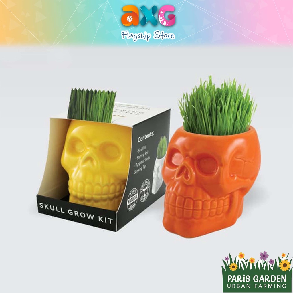 Raya Sales | Paris Garden Kids Growing Fun Skull Grow Kit - Random ...