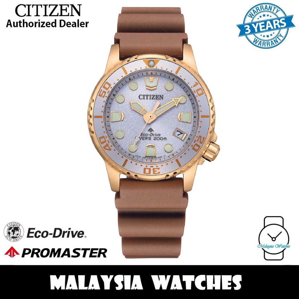 (100% Original) Citizen EO2022-02A Promaster Eco Drive Diver Silver ...