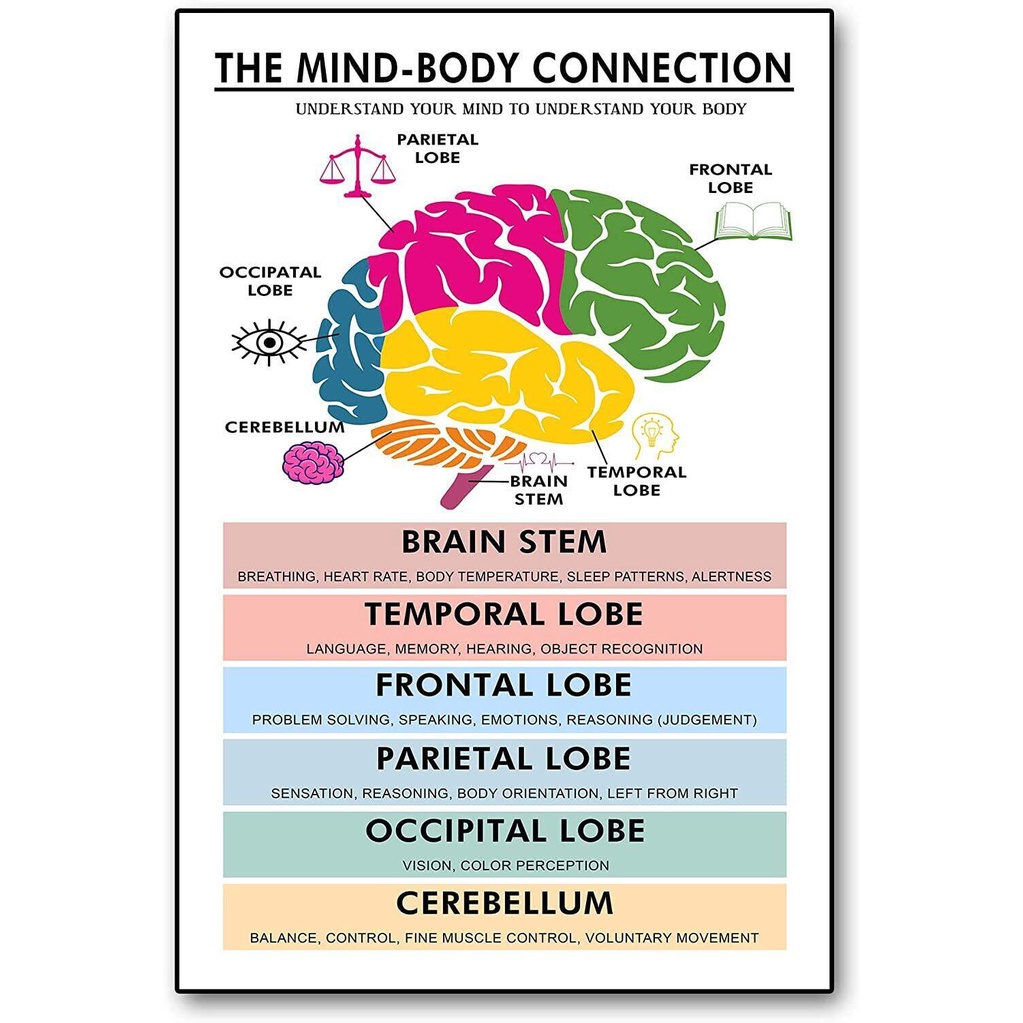 Mental Health Poster Mind Body Connection Poster Brain Anatomy Office ...