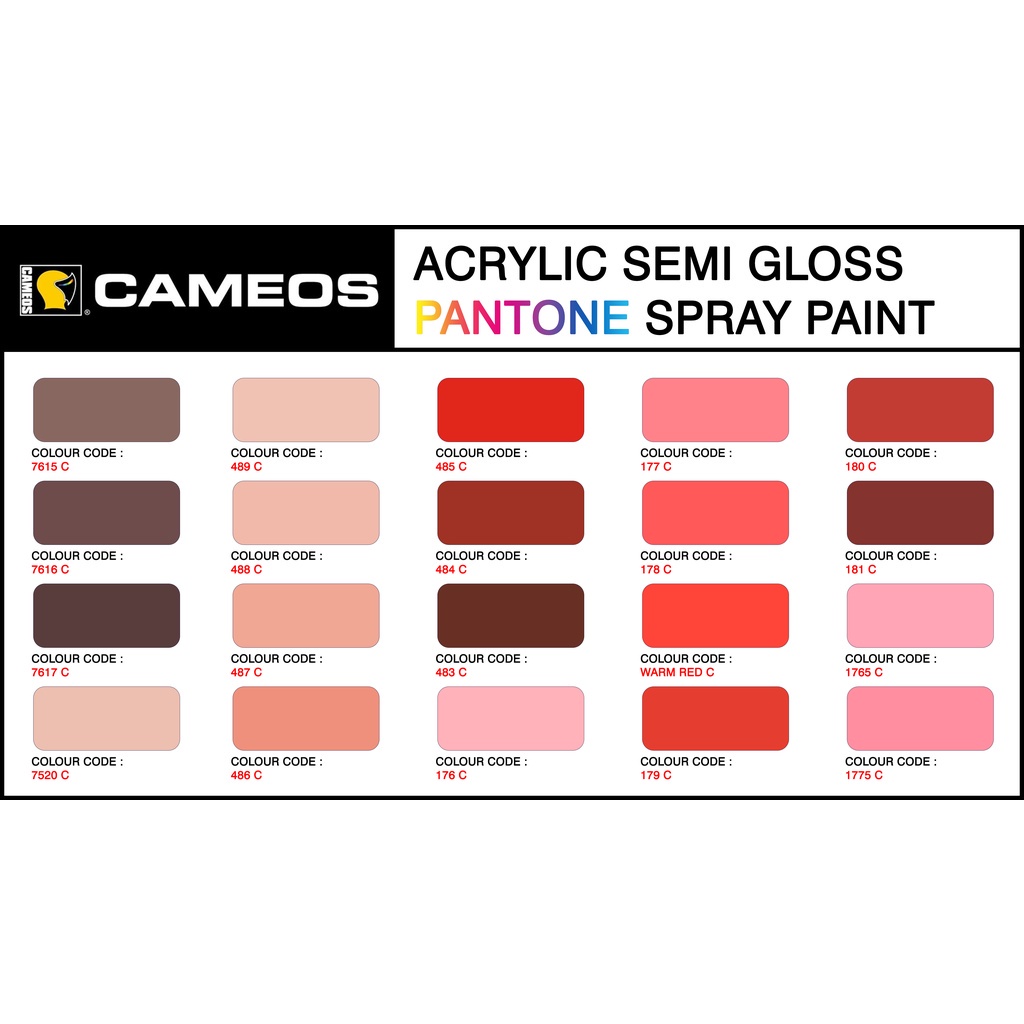 PANTONE Color P11 - Aerosol Spray Paint - CAMEOS 400ML/Bottle | Shopee ...