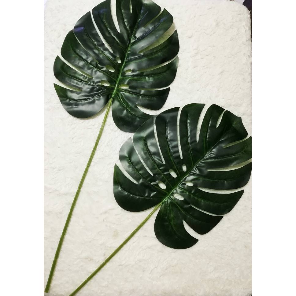 Monstera Leaves for Home Decor Wedding | Daun Monstera untuk Deko Rumah ...