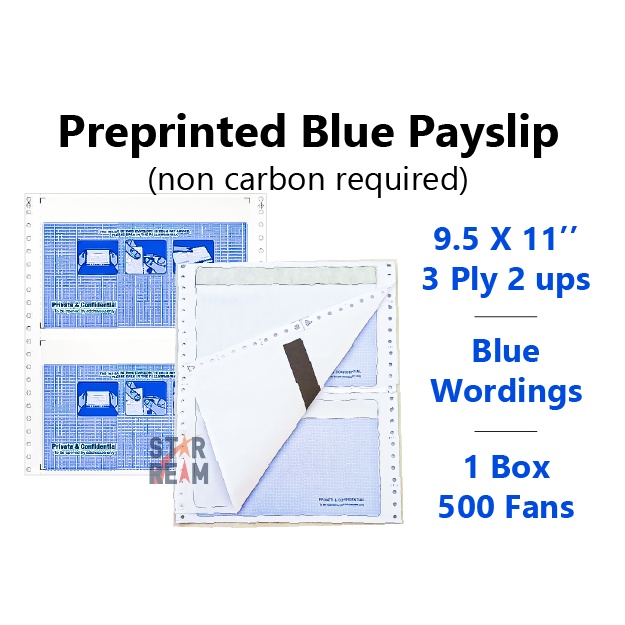 Professional Computer Form NCR Payslip 9.5"x11'' 3PLY 2UP (500Fan/Box ...