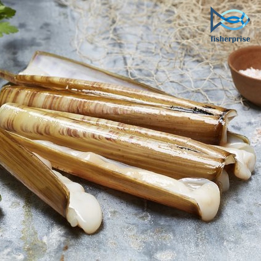 Frozen Razor Clam 竹摊 (1kg) Siput Buloh | Shopee Malaysia