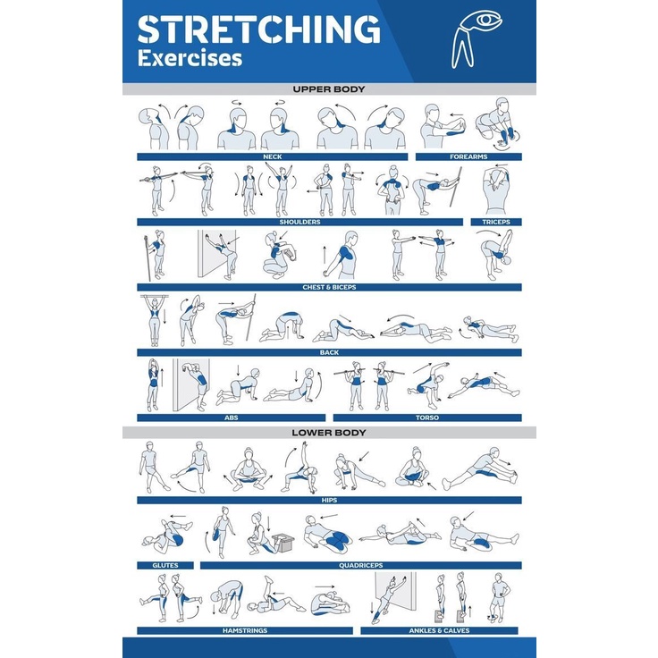 Stretching Exercises Posters For Home Gym Exercise Posters For Full ...