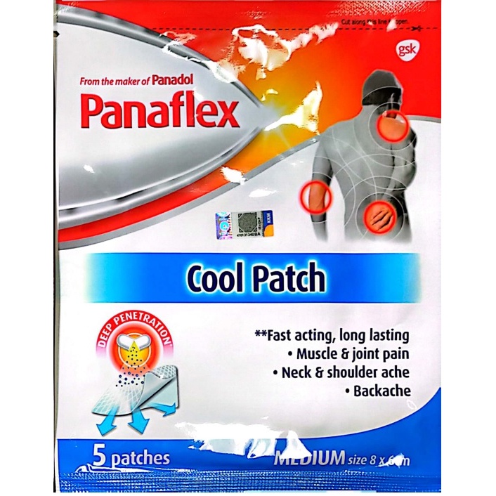 Panaflex (Cool Patch)- 5pcs | Shopee Malaysia